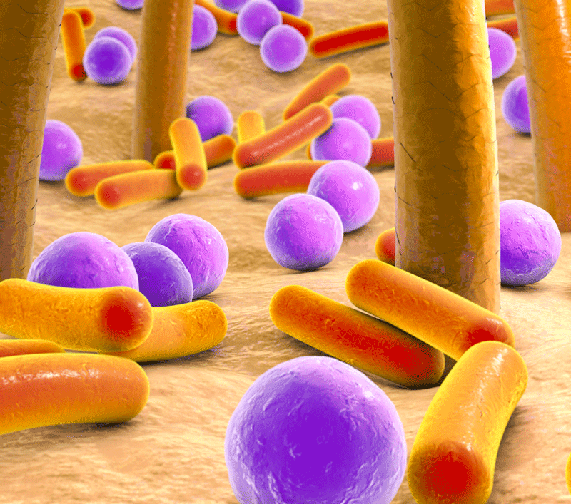 Your Skin's Microbiome - Aesthetic Skin & Anti-aging Authority